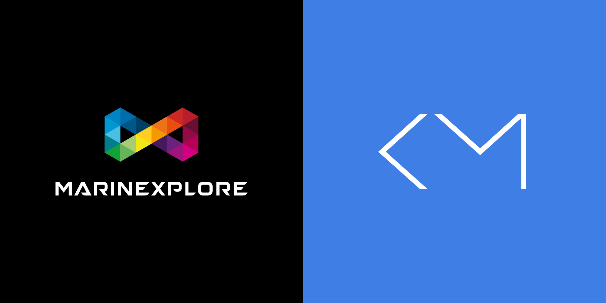 LogoGuy - custom logo design